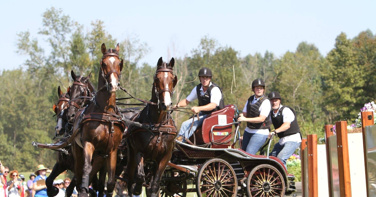 Dries Degrieck (29) scoort derde plek op Wereldkampioenschap ...