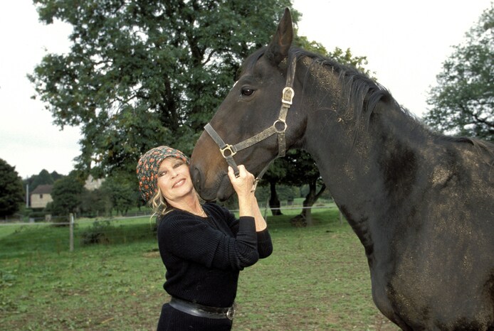 PORTRET. “Toen ik afscheid nam van deze job, redde ik ook mijn leven ...