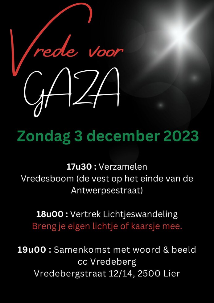Bezorgde Lierenaars verenigen zich in ‘Vrede voor Gaza’ | Lier | hln.be