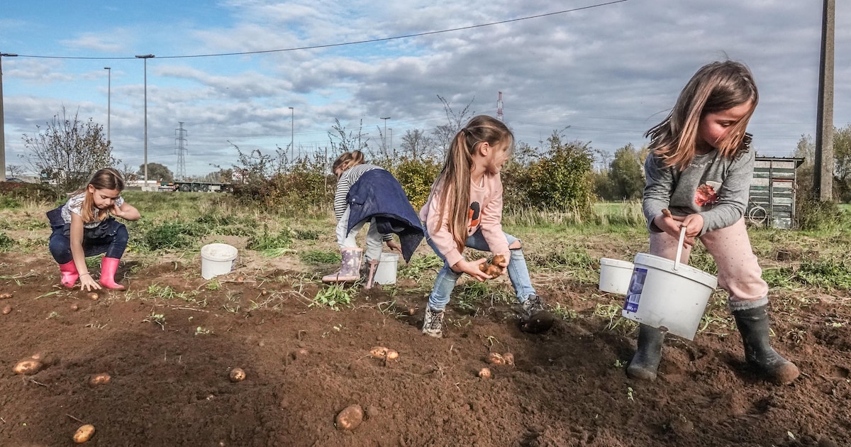 Kinderboerderij Bokkeslot organiseert op 24 januari nieuwe editie van ...