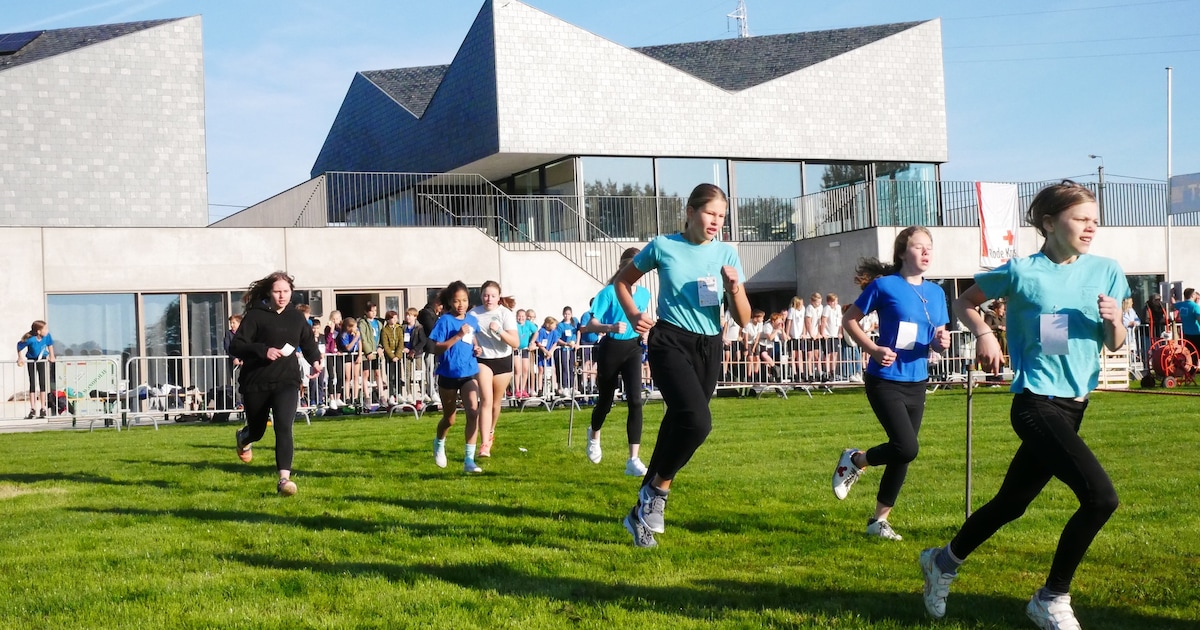 Olympic Late Night in het Marca: Maarkedal eert zijn sporthelden ...