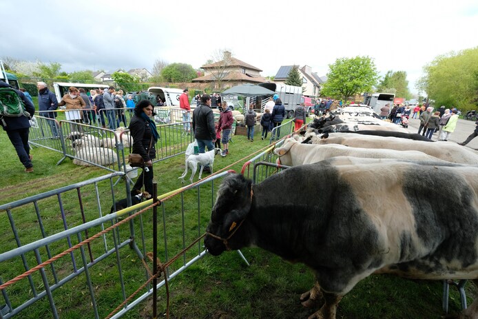 Jaarmarkt ‘Posse Leest’ is klaar voor 29ste editie: “Na drie te stille ...