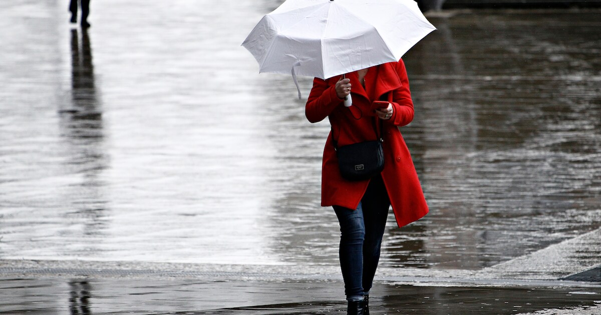 WEERBERICHT. Vooral in Antwerpen nog mistig, nieuwe regenzone trekt over het land | Weernieuws ...