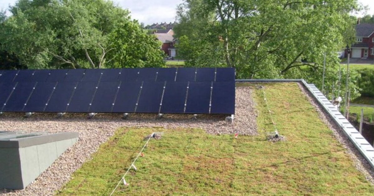 Groen, rood, blauw of geel: richt je dak klimaatvriendelijk in met deze ...