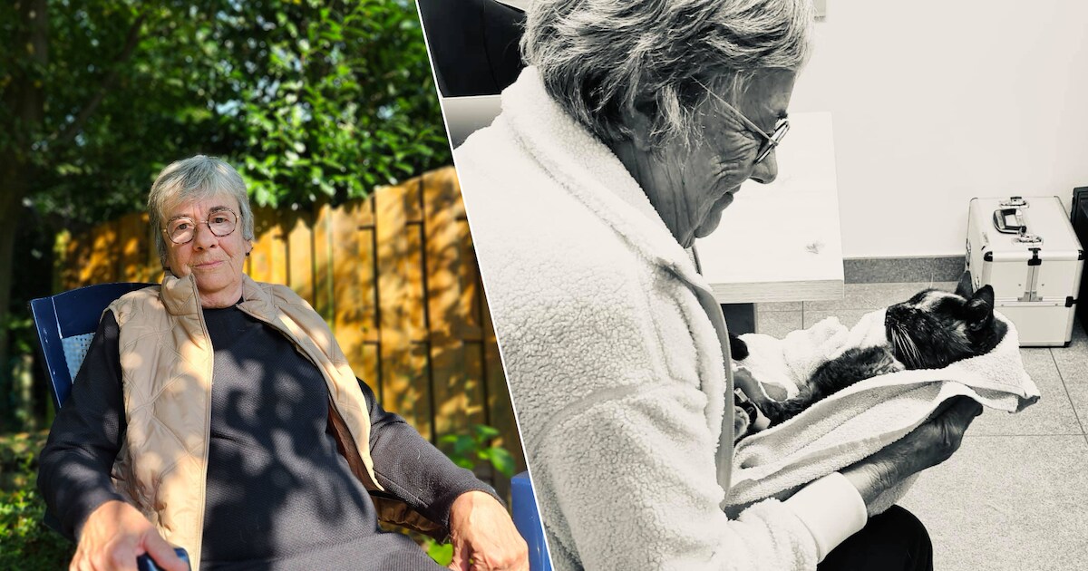 Suzy (69) na 15 jaar herenigd met doodzieke kattin, vlak voordat ze ...