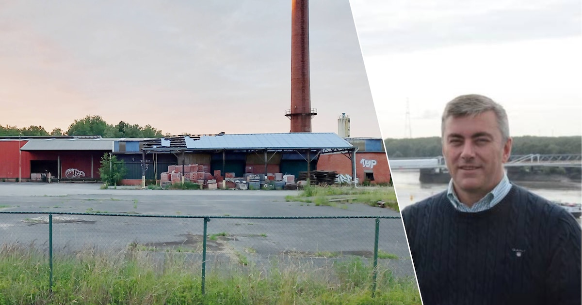 Schepen Van Rossen blijft achter plannen steenbakkerij staan: “Maximum ...