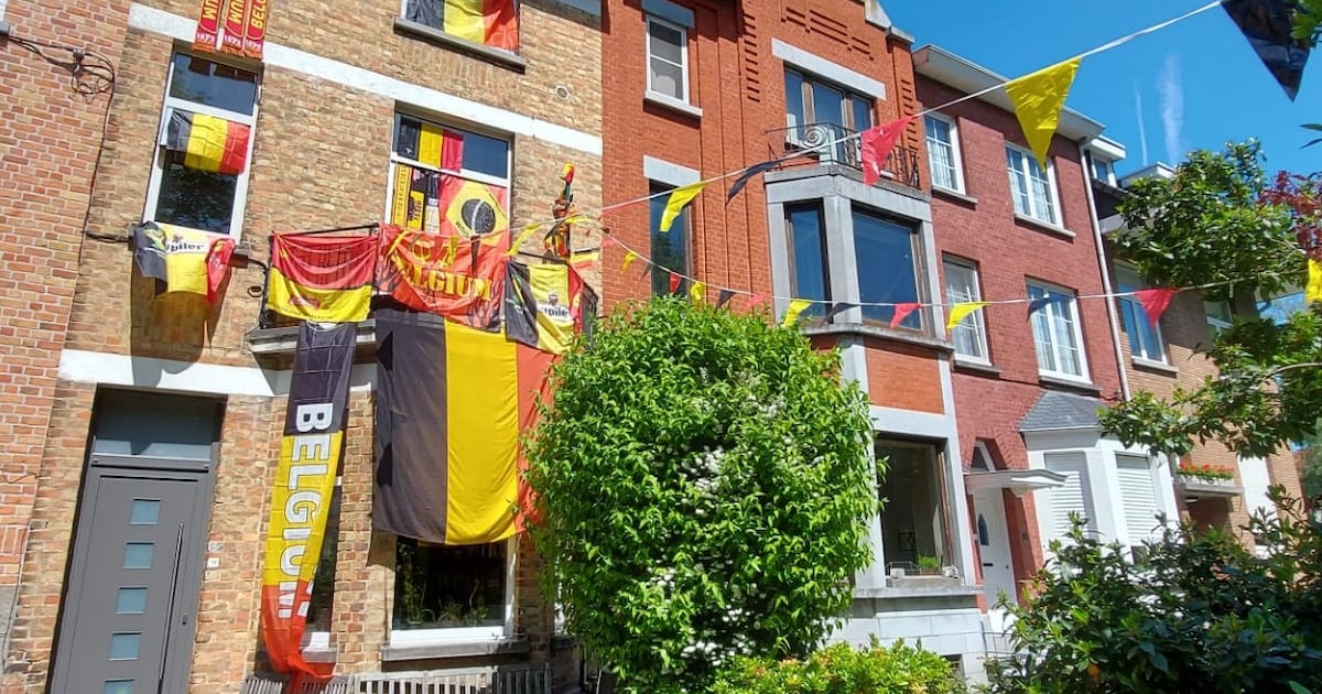 OPROEP. Heb jij je huis versierd om onze Rode Duivels aan te moedigen ...
