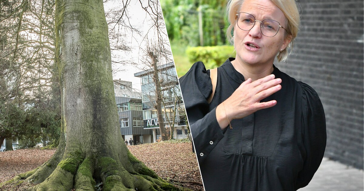 Van verplichte buitenruimte tot meer groen: Strengere stedenbouwkundige ...