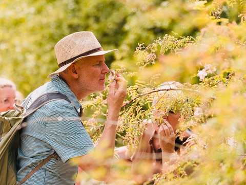 Plantentuin Meise organiseert eerste Rozenfestival op 13 en 14 juni ...