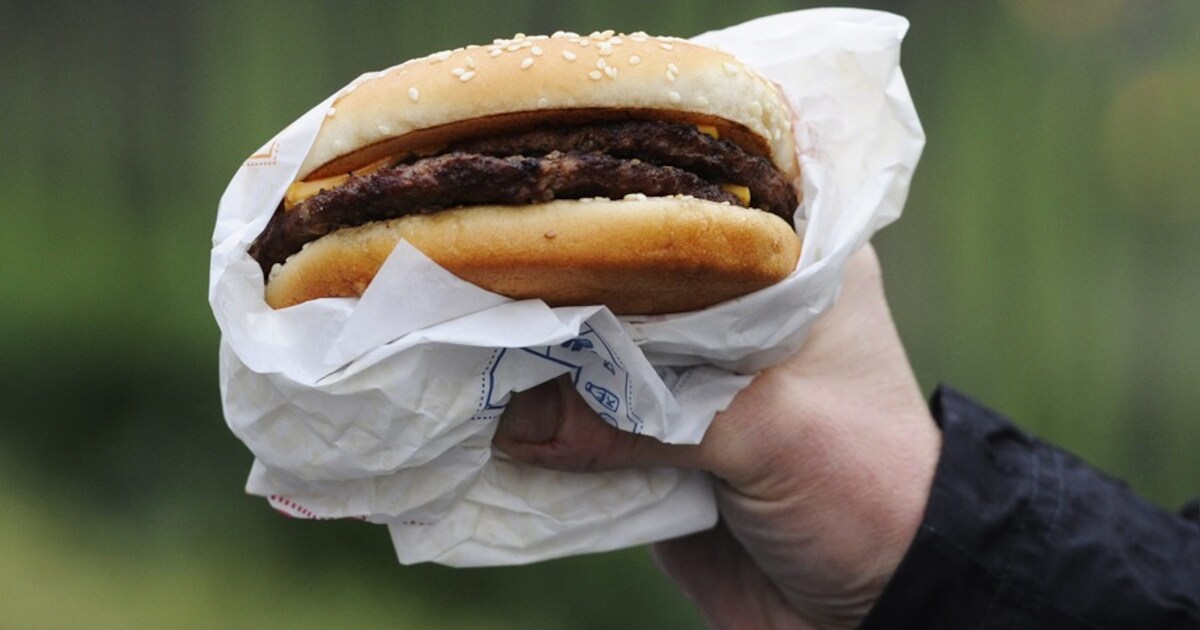 Geen paard in Zuid-Afrikaans vlees, wel buffel, geit en ezel ...