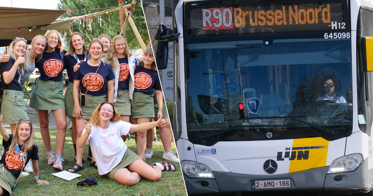 De Lijn voorziet deze zomer flexibel en voordelig busvervoer voor ...
