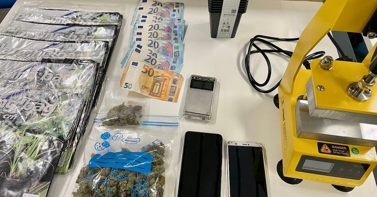 Drugspatrouille PZ Midow ontdekt cannabisplantage, nog voor ze goed en ...