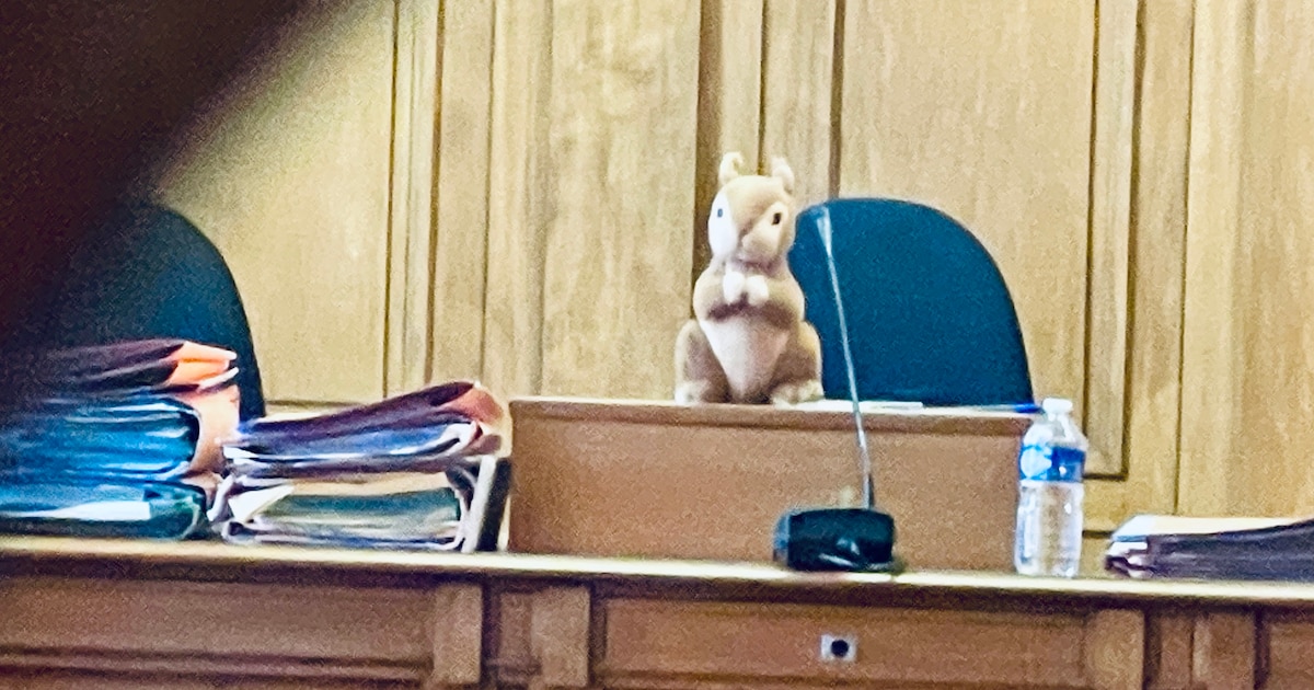 En plots zit er een pluchen eekhoorn op plaats van de rechter in Leuven ...