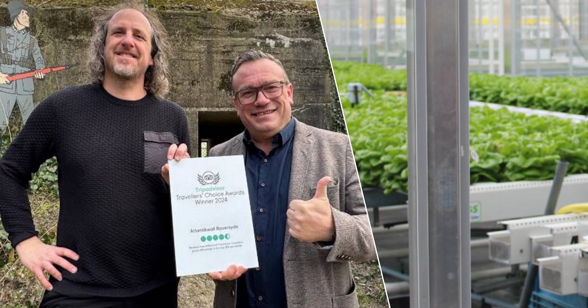 Investeringen in toerisme, fietspaden en praktijkcentrum: dit zijn de plannen van provincie West ...