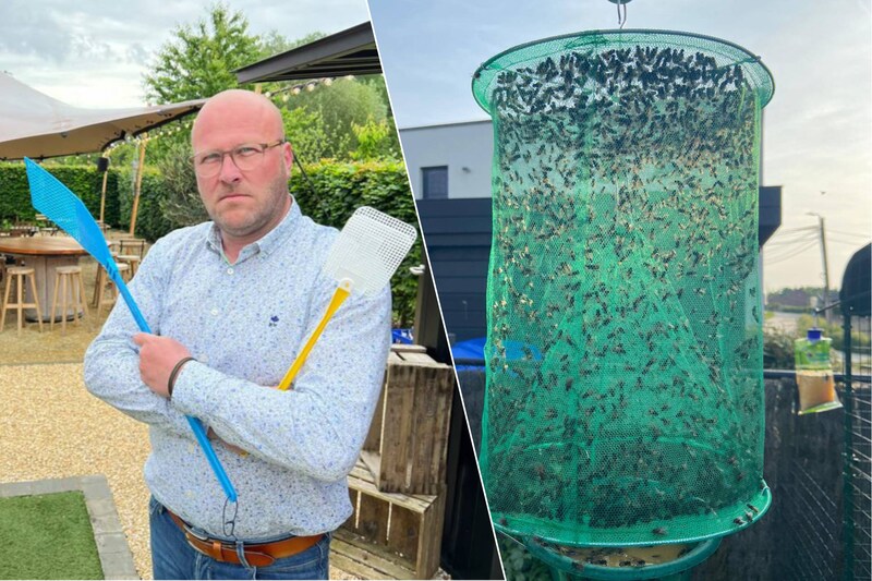 Kerkom vreest nieuwe vliegenplaag: “Die hallucinante toestanden van ...