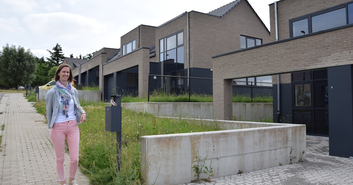 Zes sociale koopwoningen op wijk Breekpot: “45 procent van bevolking ...