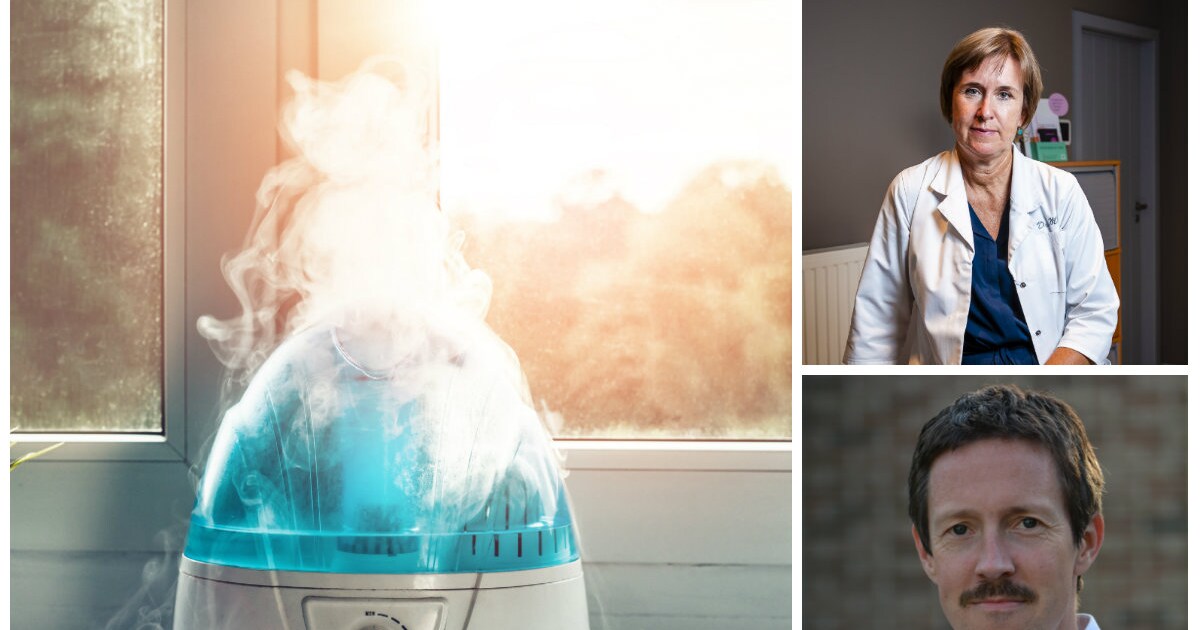 Experts waarschuwen voor lage luchtvochtigheid in huis door winterprik ...