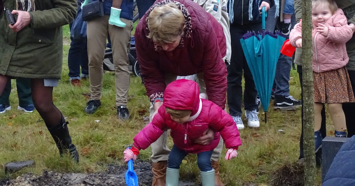 Kindjes van 2022 planten geboorteboom aan de Moer | Vosselaar | HLN.be