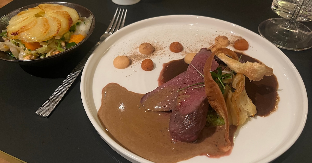 RESTOTIP. Bistro Marron in Olsene: “Wildsuggestie waar je wild van wordt” | Zulte | HLN.be
