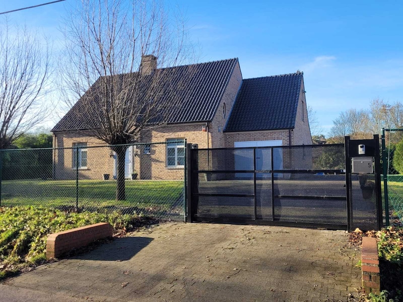 Cannabisplantage met 550 planten ontdekt in kelder van woning in ...