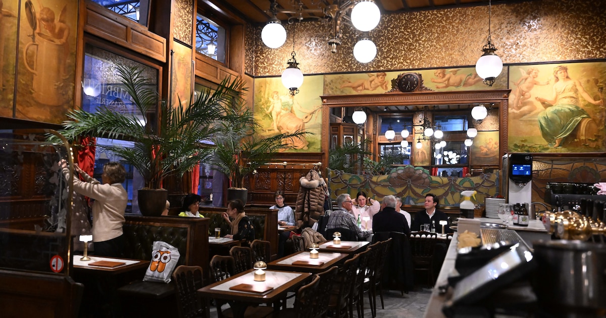 RESTOTIP. Gambrinus, waar je de klassieke keuken krijgt in een ...