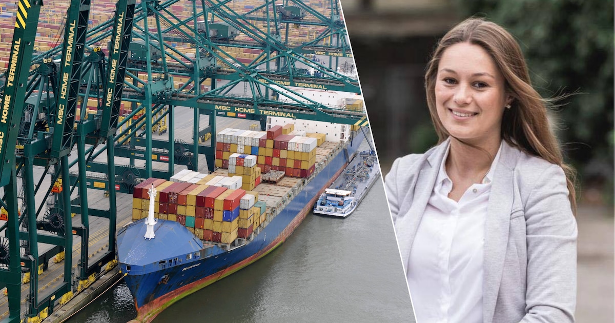 Dokwerkers zijn negatieve media-aandacht beu: “Het is onrechtvaardig om ...