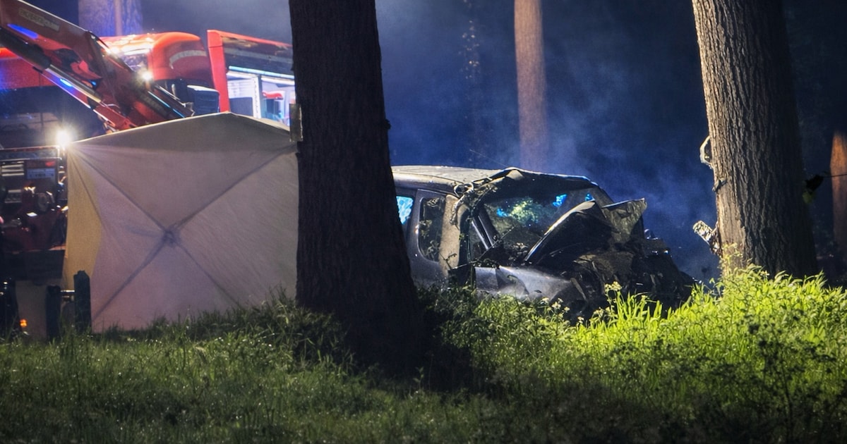 Bestuurder (52) sterft na botsing tegen boom in Dudzele: “Enkele mensen ...