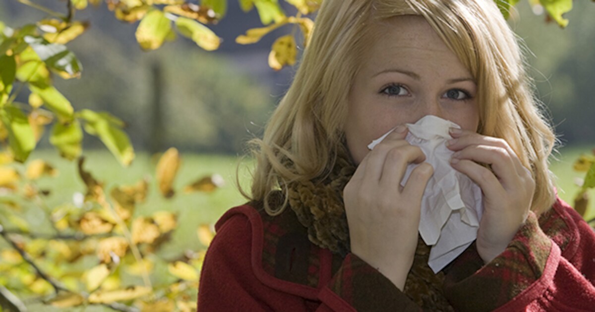 Puffen, zweten en... snotteren: iedereen een zomerverkoudheid? Het zijn ...