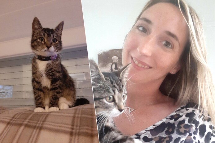 Kattin Loena duikt 2,5 jaar nadat ze verdwenen was weer op: “Dit is het ...