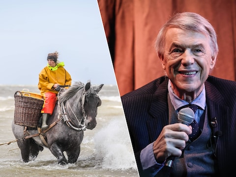 Met deze 10 tips beleef je een onvergetelijke zomer in Koksijde: van ...