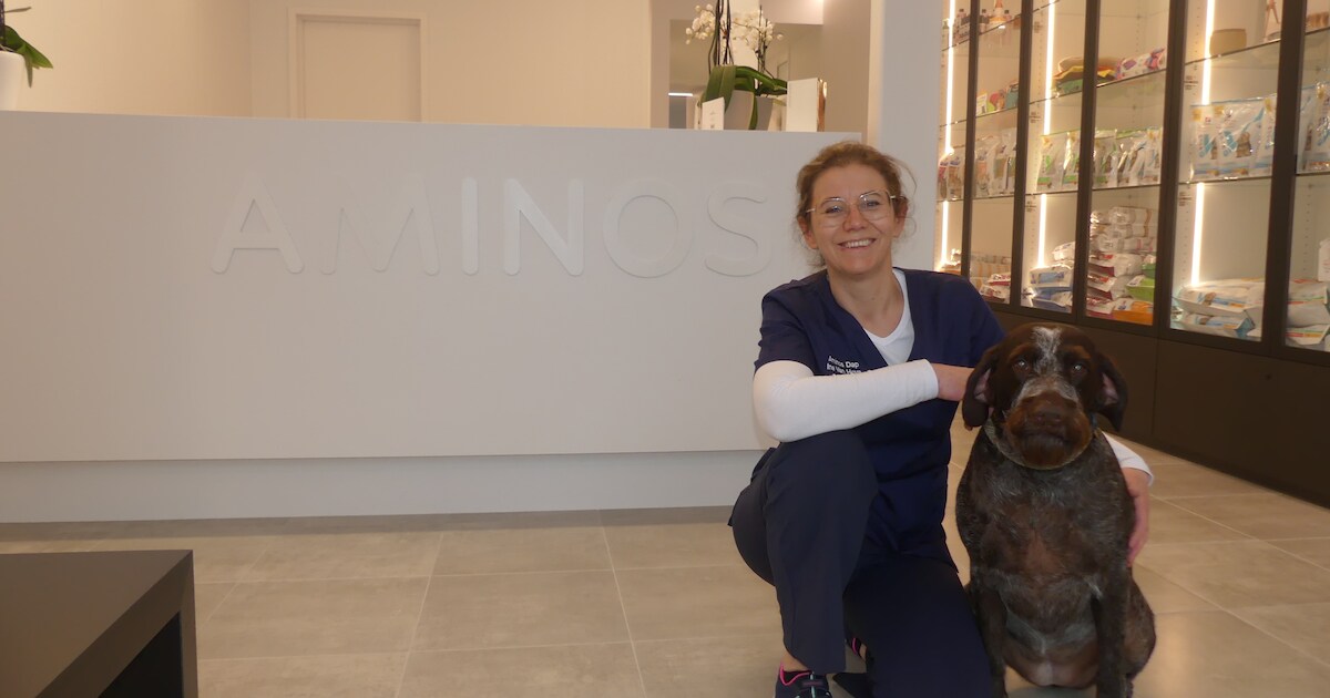 Nieuwe stek voor dierenartsenpraktijk Aminos: “Aparte wachtruimte voor ...