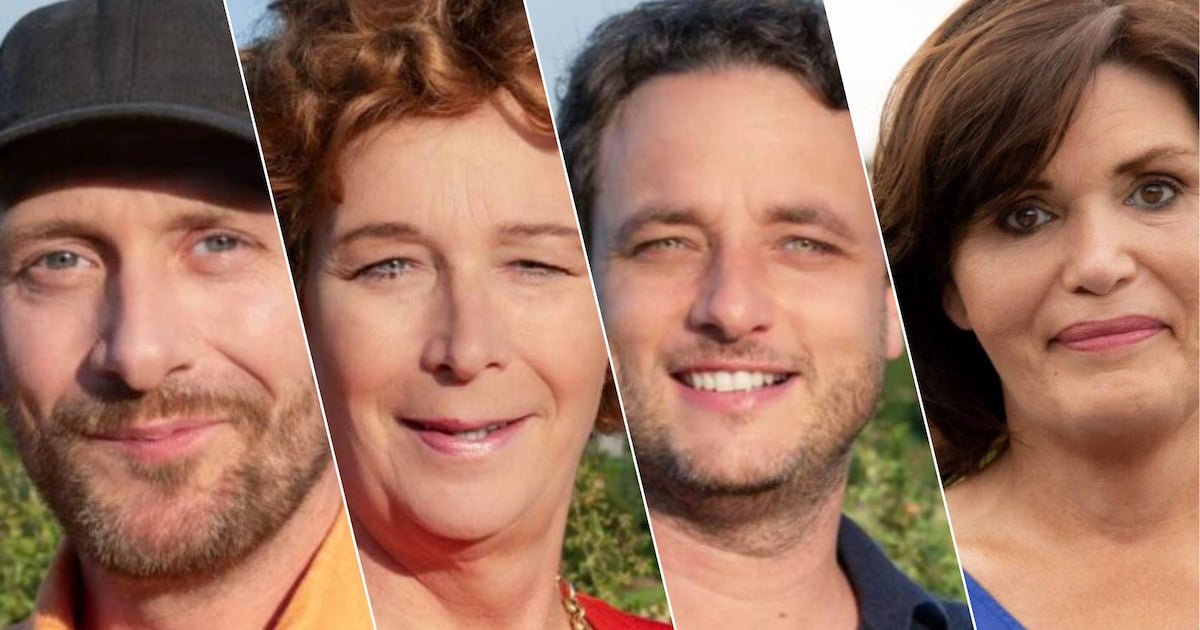 Dit zijn de nieuwe burgemeester en schepenen en hun bevoegdheden ...