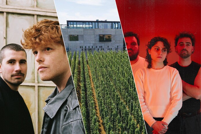 Bar Bernard viert 6de verjaardag met fijne muziekjes: “En met Bernard's ...