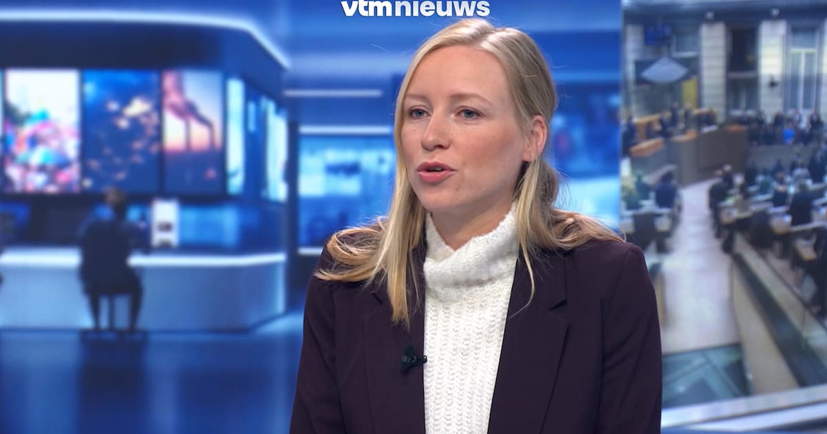 Vlaamse regering dicht bij akkoord over verruimd inkomen, minister ...