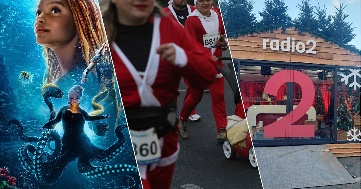 Wat te doen dit weekend in Zuid-West-Vlaanderen? Van kerstloop over ...