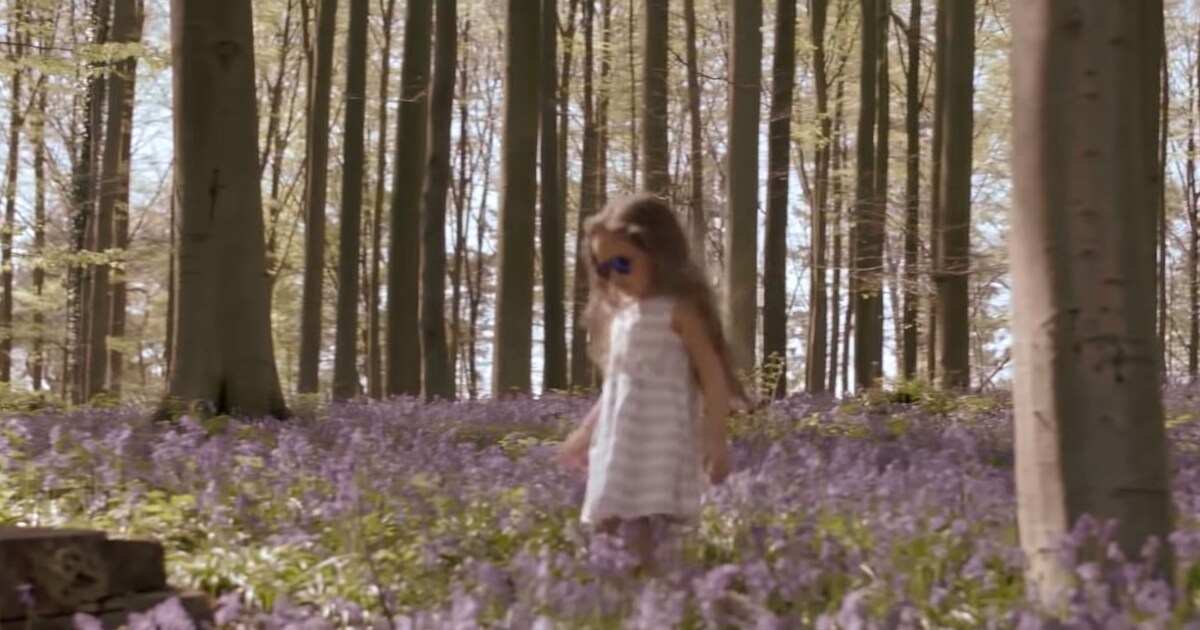 Regi slaat mea culpa na fout in videoclip ‘Ellie’: “Ik wist niet dat ...