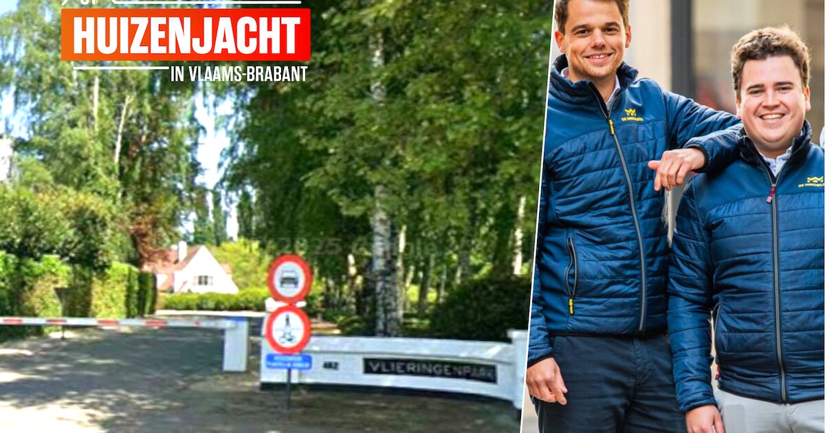 HUIZENJACHT. Halle, stad aan de Zenne: “In deze villawijk vind je huizen van 1 miljoen euro en ...