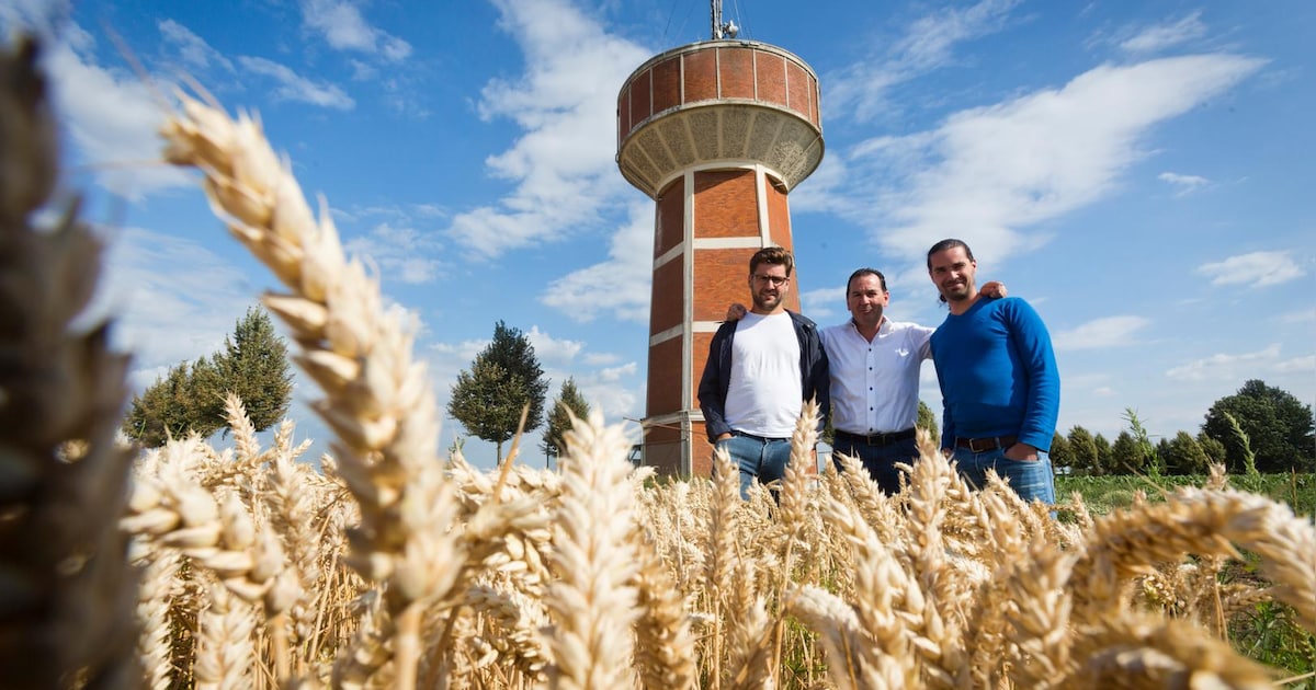 B&B in watertoren Heukelom wordt binnenkort dan toch werkelijkheid ...