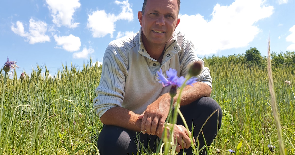 Jason Bradley zingt drie uur lang hits in zomerbar ‘Rust en Dust’ | Aalter | hln.be