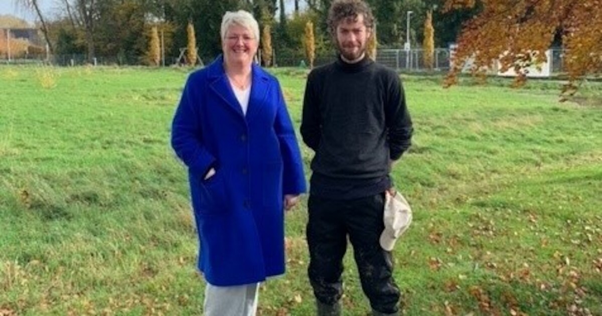 Oude ‘motte’ wordt opnieuw centrale cultuur- én natuurplek | Herzele ...