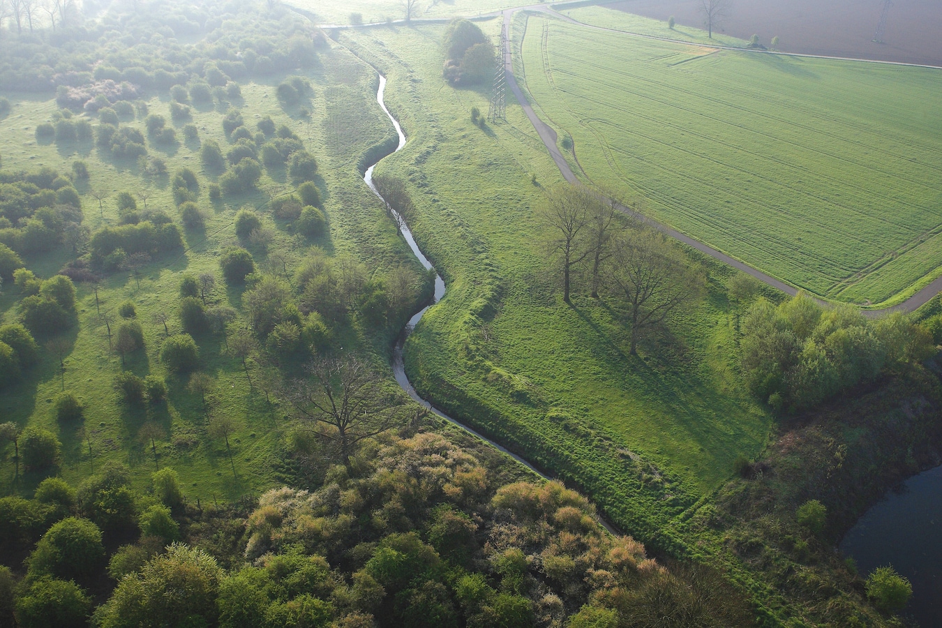 Cold case leidt tot zoekactie in Maasmechelen aan voormalige steenbakkerij: “Werd Angelique in ...