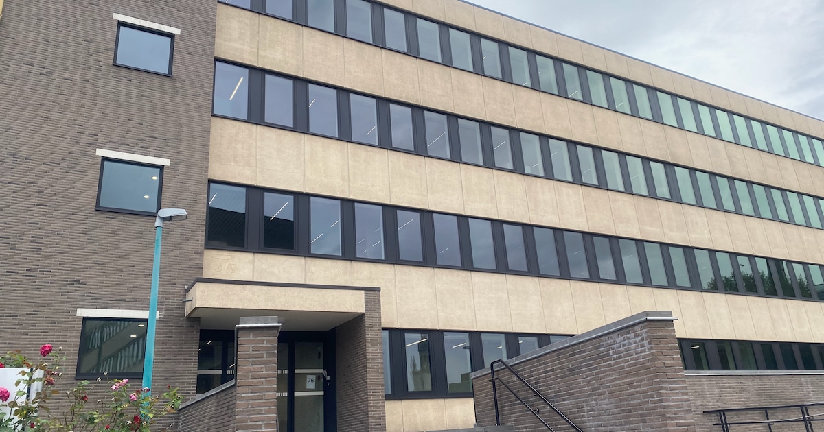 Automobilist bestraft voor gsm-gebruik aan rood licht: “U neemt nog ...