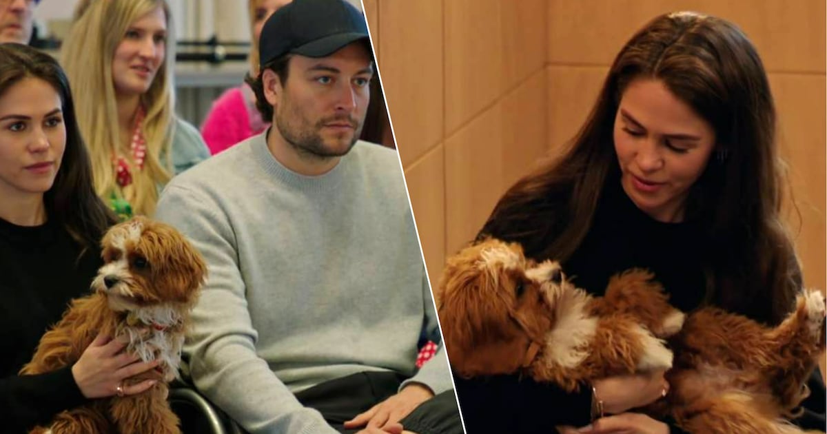 Sarah Puttemans maakt debuut in ‘De Verhulstjes’ en zet meteen de ...