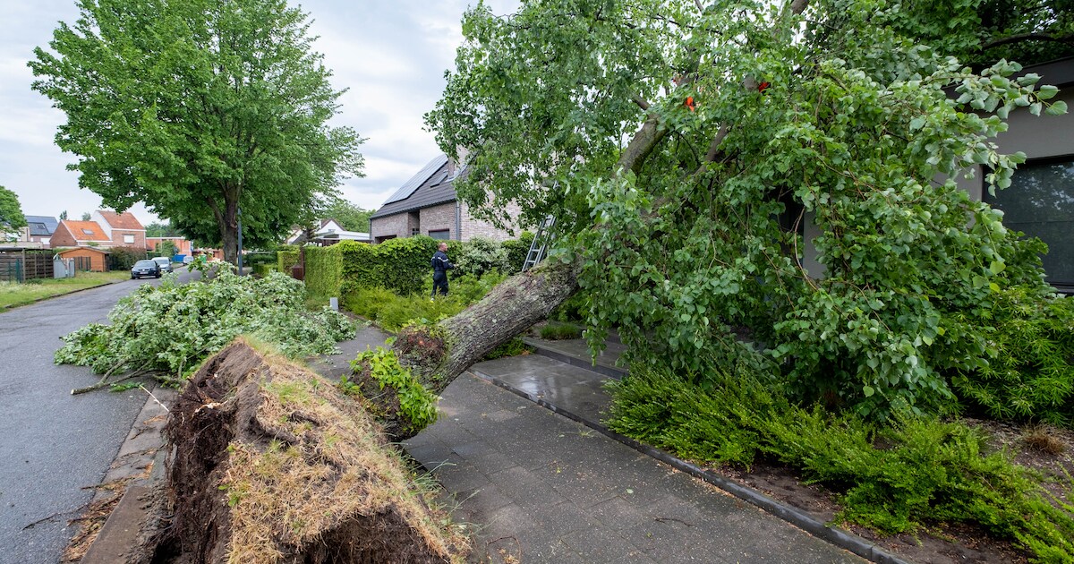 Wateroverlast of stormschade? Nummer 1722 voortaan ook bereikbaar via ...