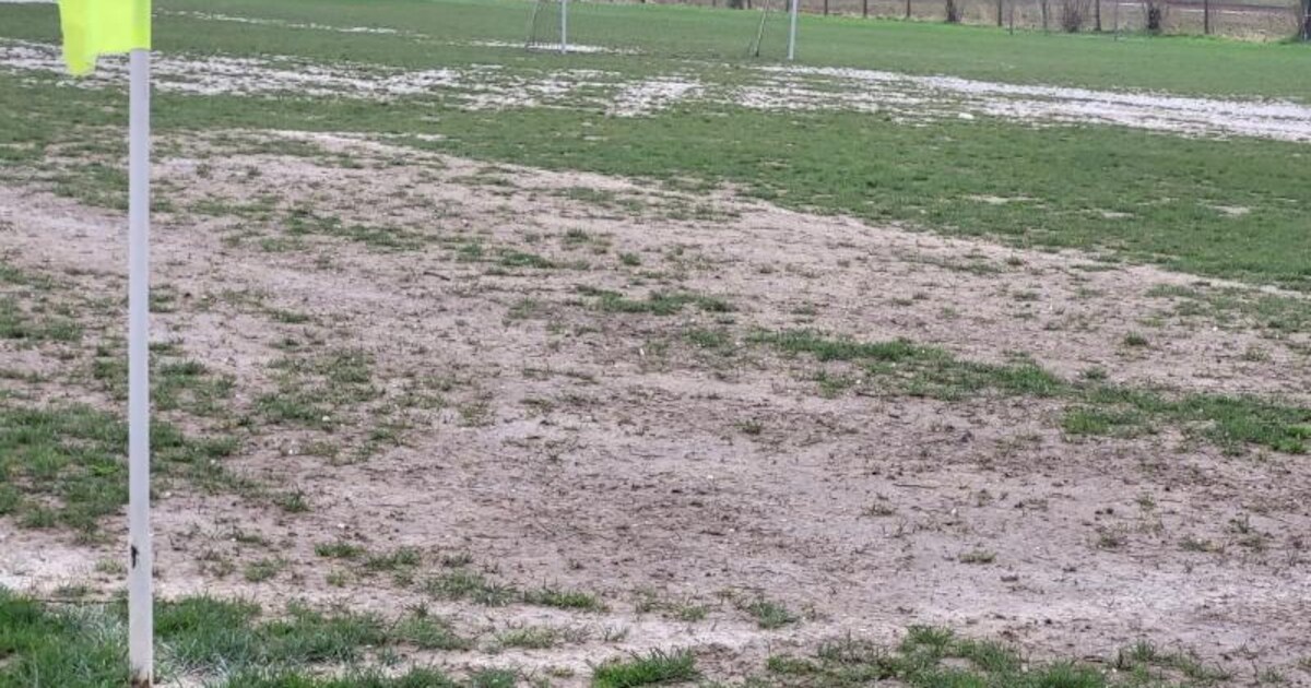 Stad bekijkt mogelijk kunstgrasveld voor Osta Meerbeke, Forza wijst op ... Stad bekijkt mogelijk kunstgrasveld voor Osta Meerbeke, Forza wijst op ...
