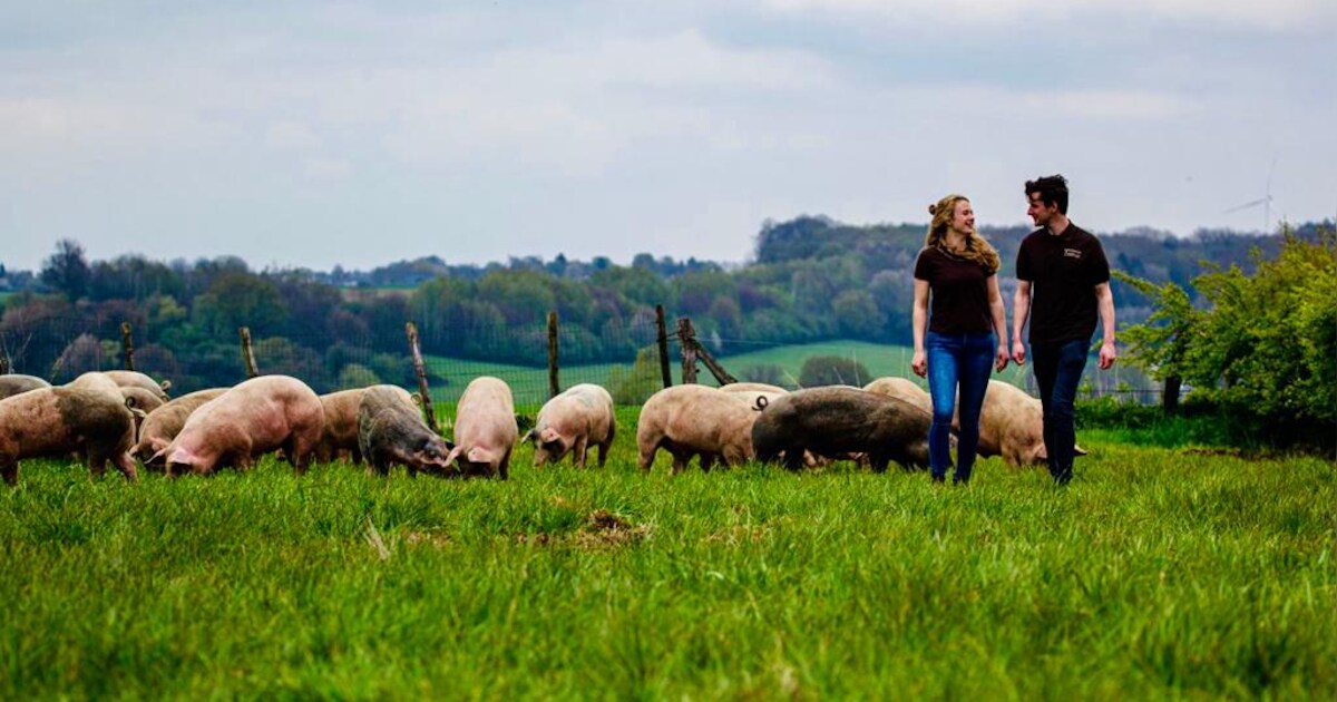Amy en Joshua in zak en as na dood 40 varkens in stalbrand: “Enkel beer ...