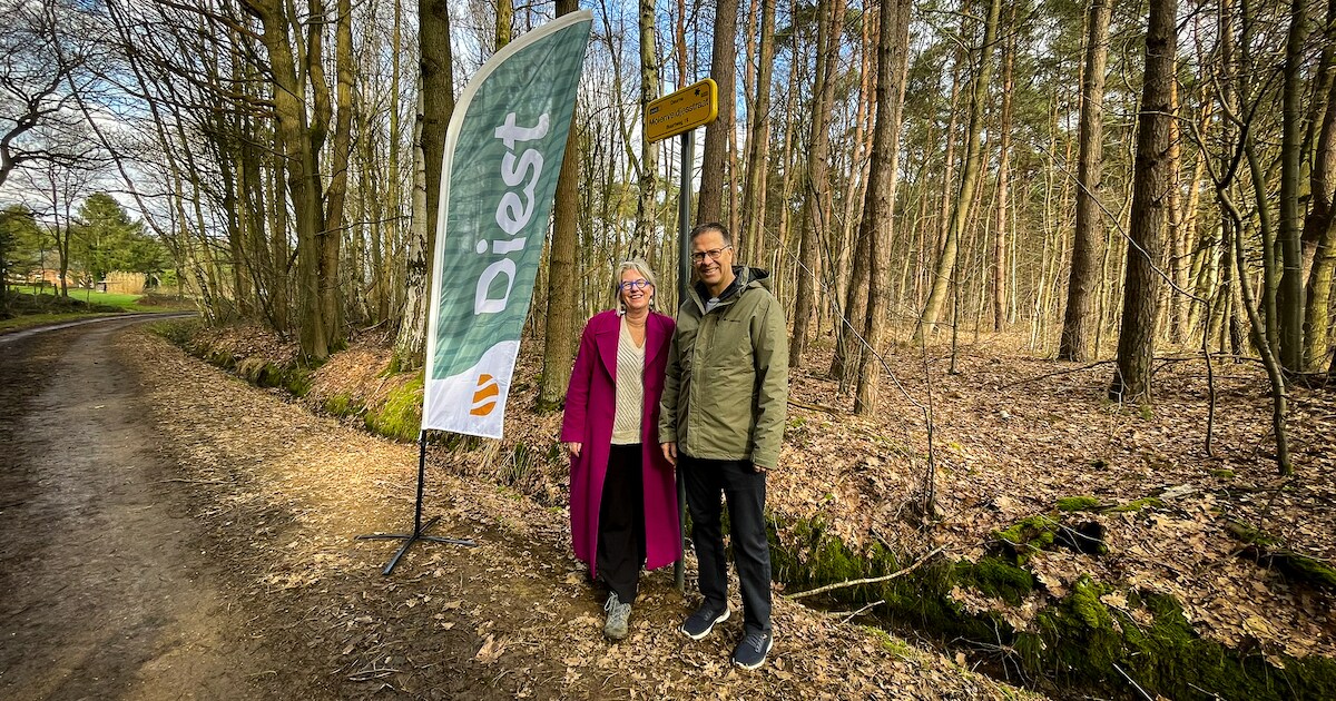 Er komen meer dan 250 gele naamborden voor trage wegen in Diest | Regio ...