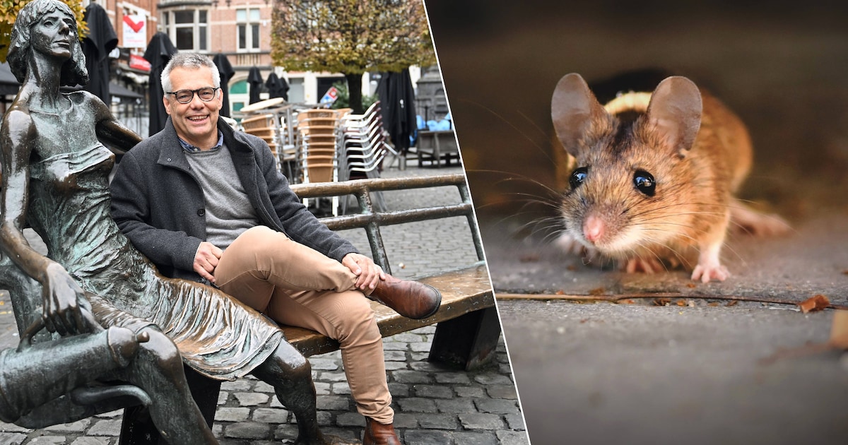 Gemeenteraadslid Zeger Debyser (N-VA) hekelt gebrek aan transparantie ...