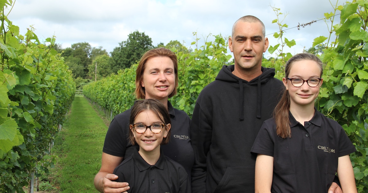 Kathy en Bart maken wijndroom waar in Kruisem: “Ons doel? Over vijf ...