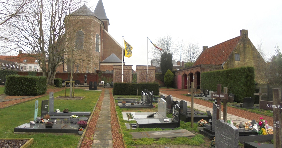 Reveil strijkt voor het eerst neer in Dentergem | Dentergem | HLN.be